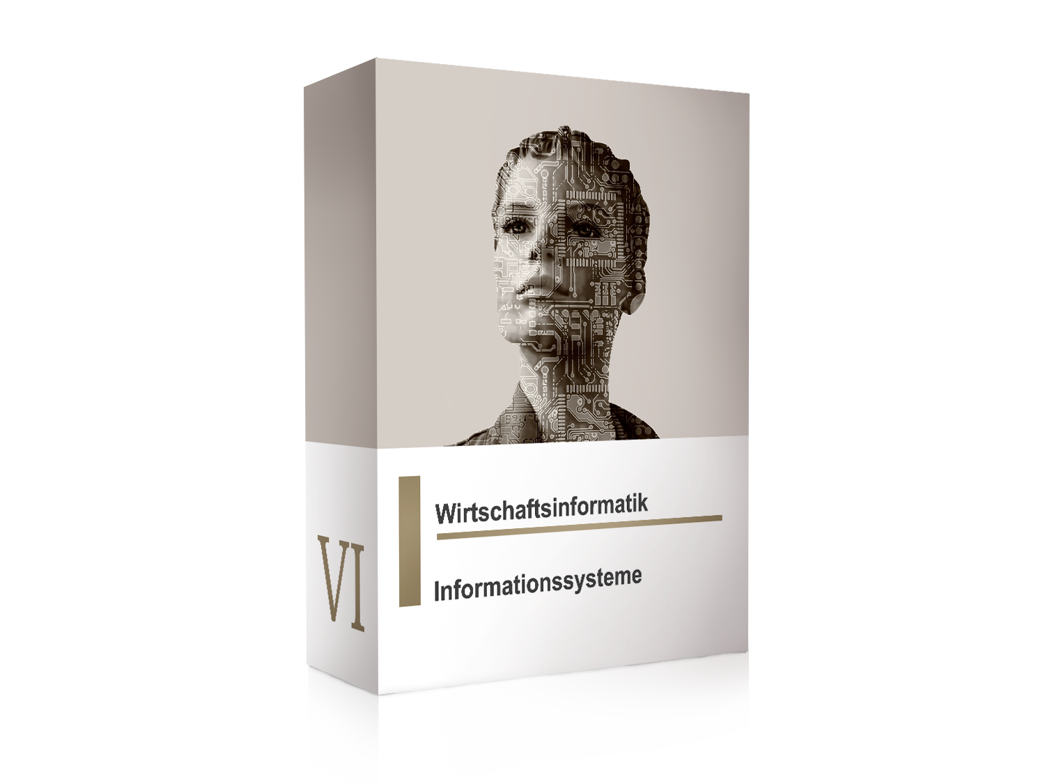 Einführung Wirtschaftsinformatik: Karteikarten-Set 'Lernen' | UNI ...